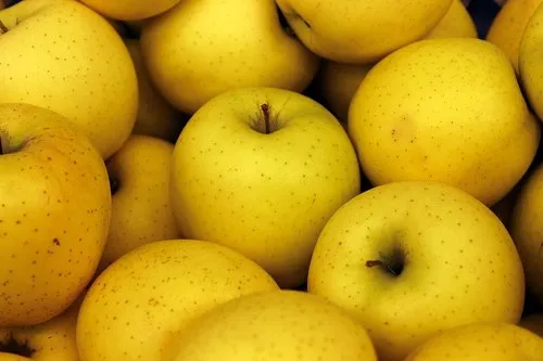 Golden apple plant